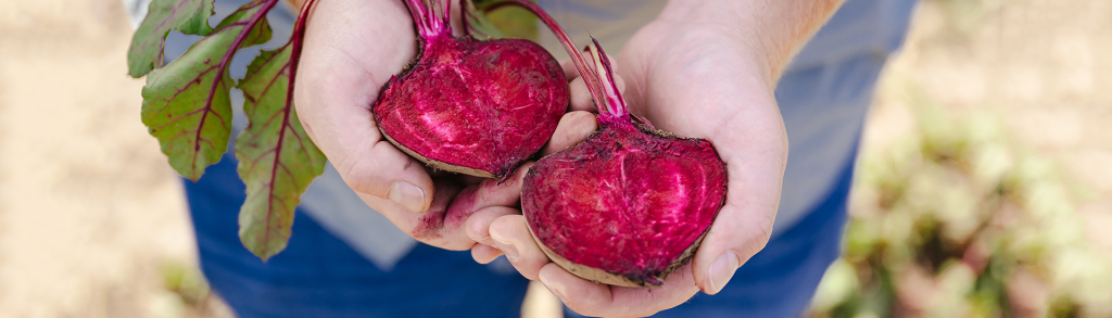 Aunt Nellie's Beets & Vegetables - Made Easy