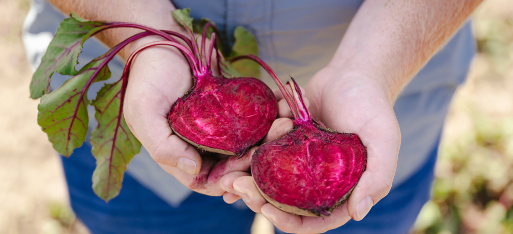 Aunt Nellie's Beets & Vegetables - Made Easy